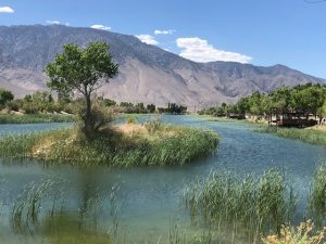 Lake Olancha Cabin Rentals and RV Park Campground Death Valley