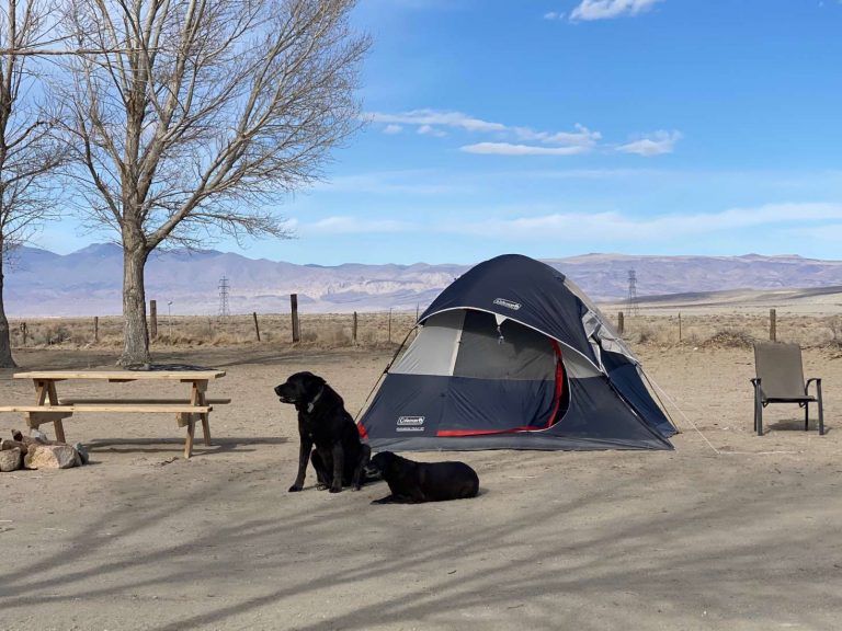 Lake Olancha Cabin Rentals and RV Park Campground Death Valley